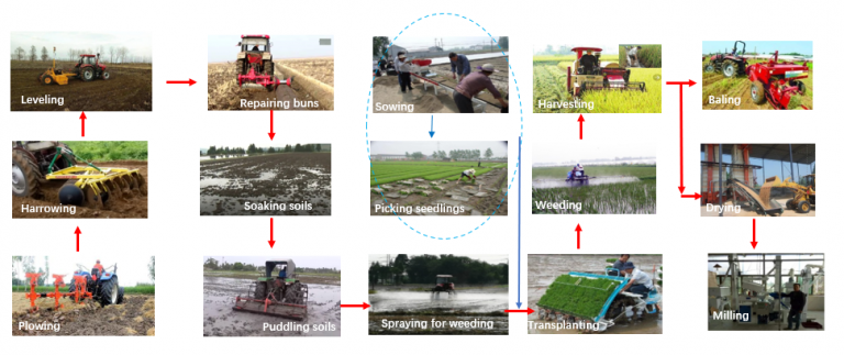 Product solution for rice - K&F INTERNATIONAL