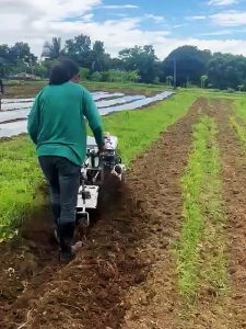 KF MINI POWER TILLER COMPLETES FIELD TEST - K&F INTERNATIONAL